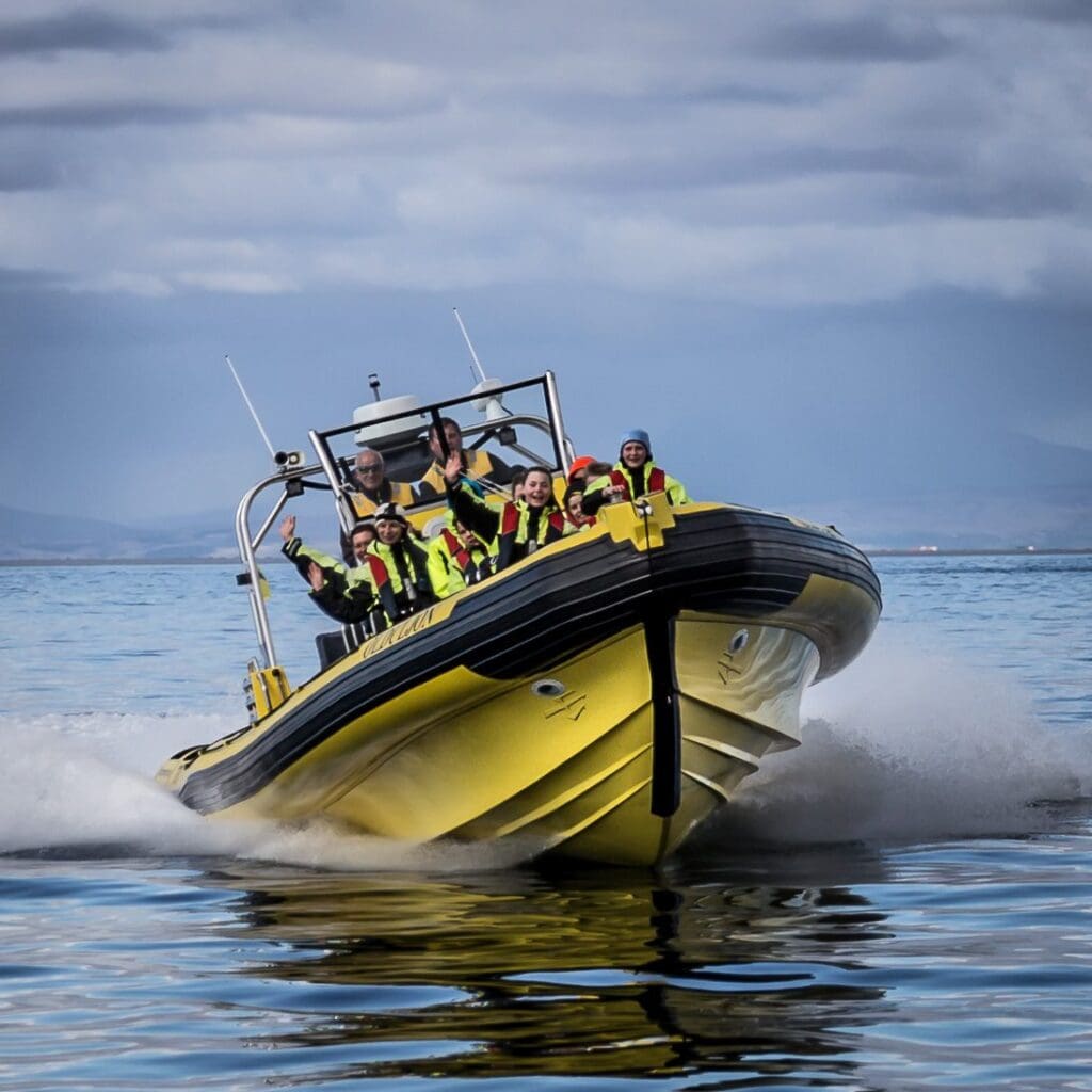 Ribsafari Two Hour Tour - VikingTours™ Westman Islands